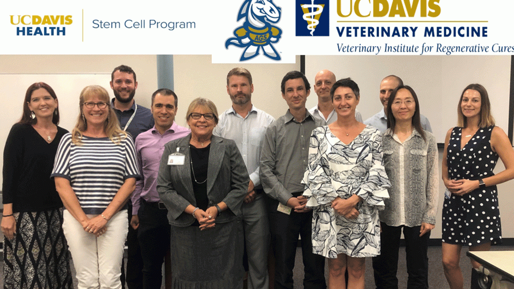 Veterinary Institute for Regenerative Cures / School of Veterinary Medicine